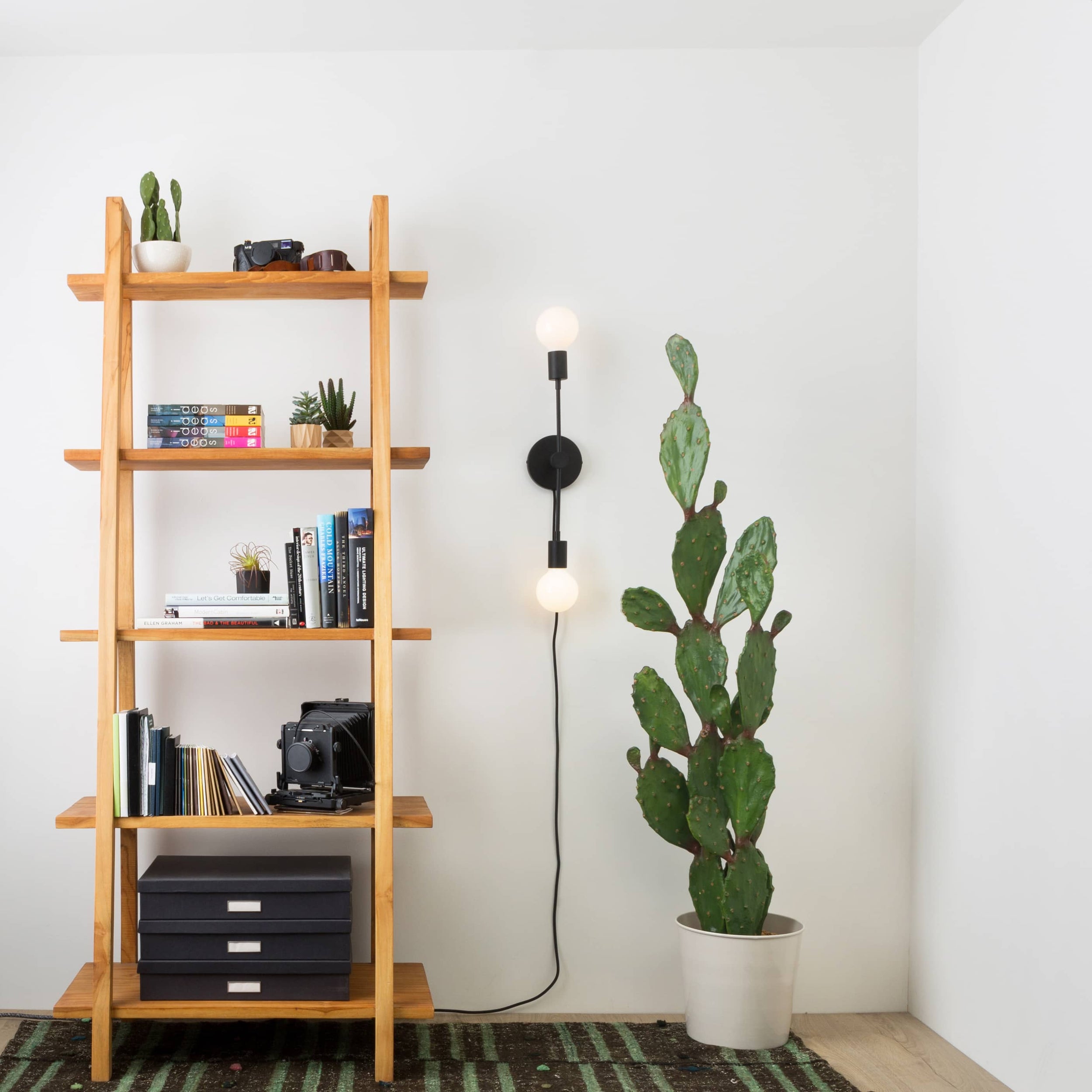 Double-Arm Duo Plug-in Sconce | Shop Plug-In Light Fixtures – Color ...