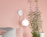 Glass Lamp Shades | Professional Design | Color Cord Company
