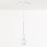 Pendulum Pendant Light